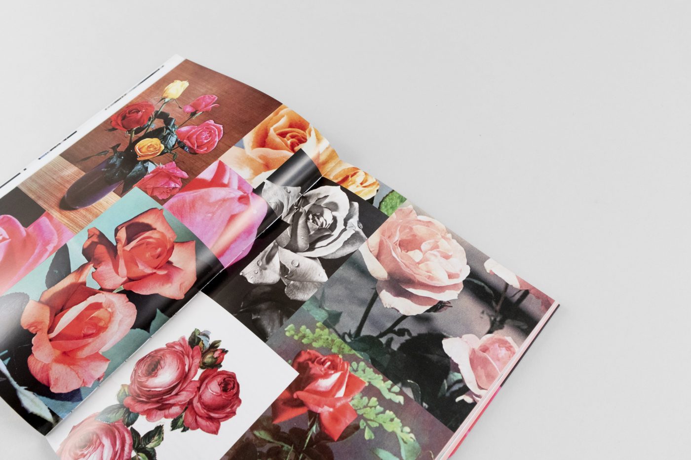 1 Million Roses for Angela Davis — Mousse Magazine and Publishing