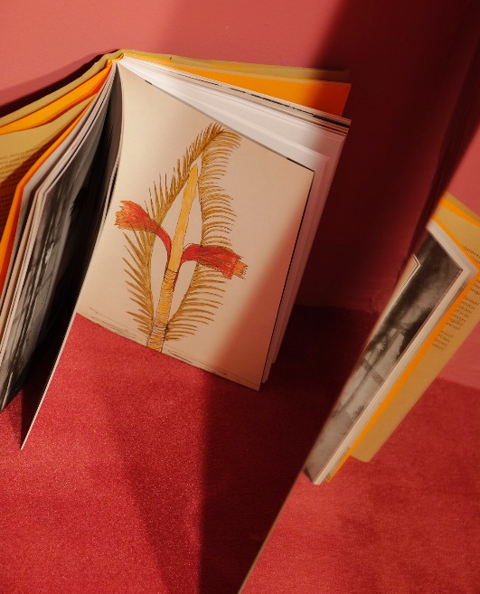 From Hannah Villiger: Roma and afterwards: The Embodied Self Fragmented ...
