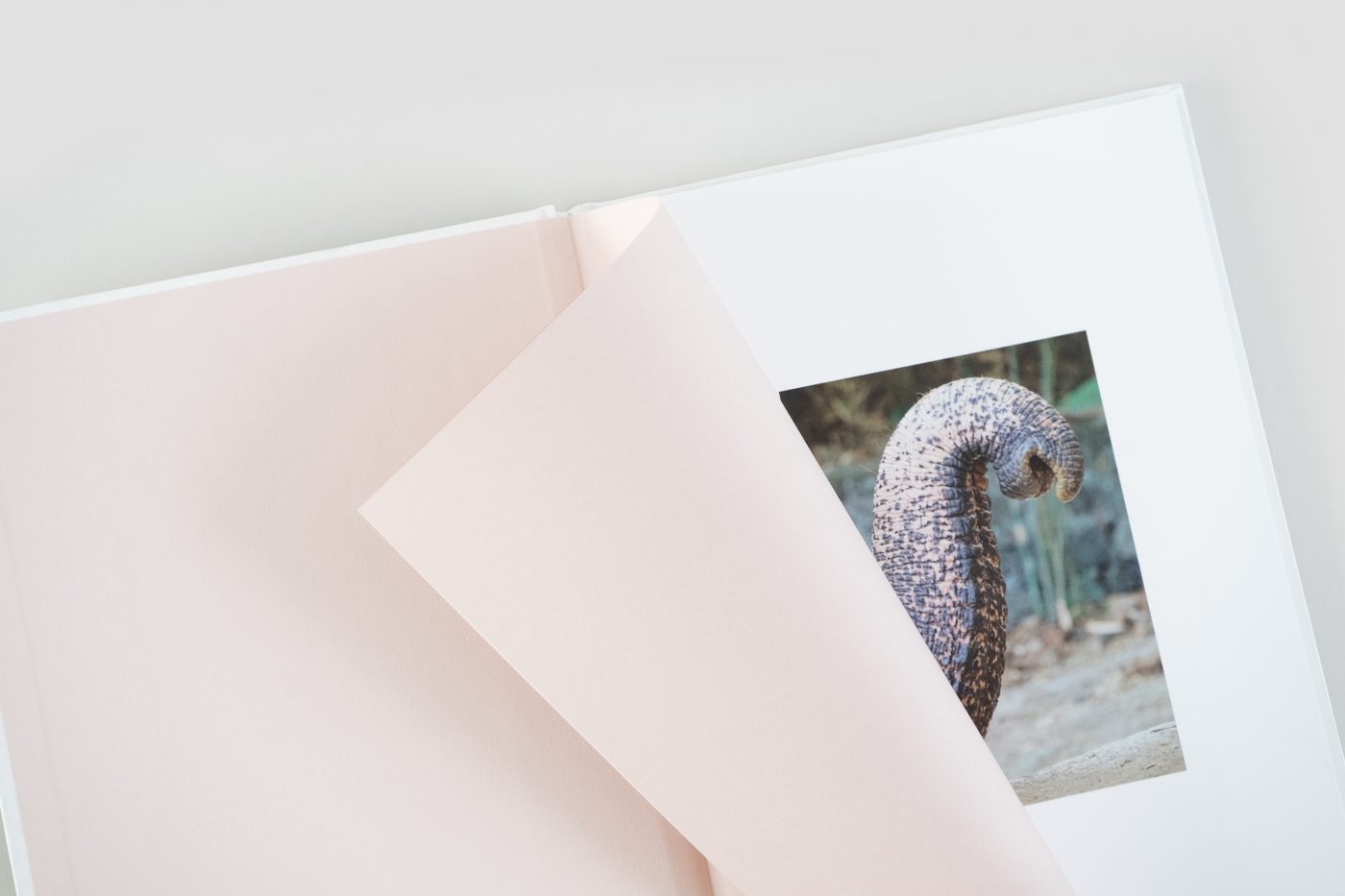 Vanessa Safavi: Alien Armpit — Mousse Magazine and Publishing