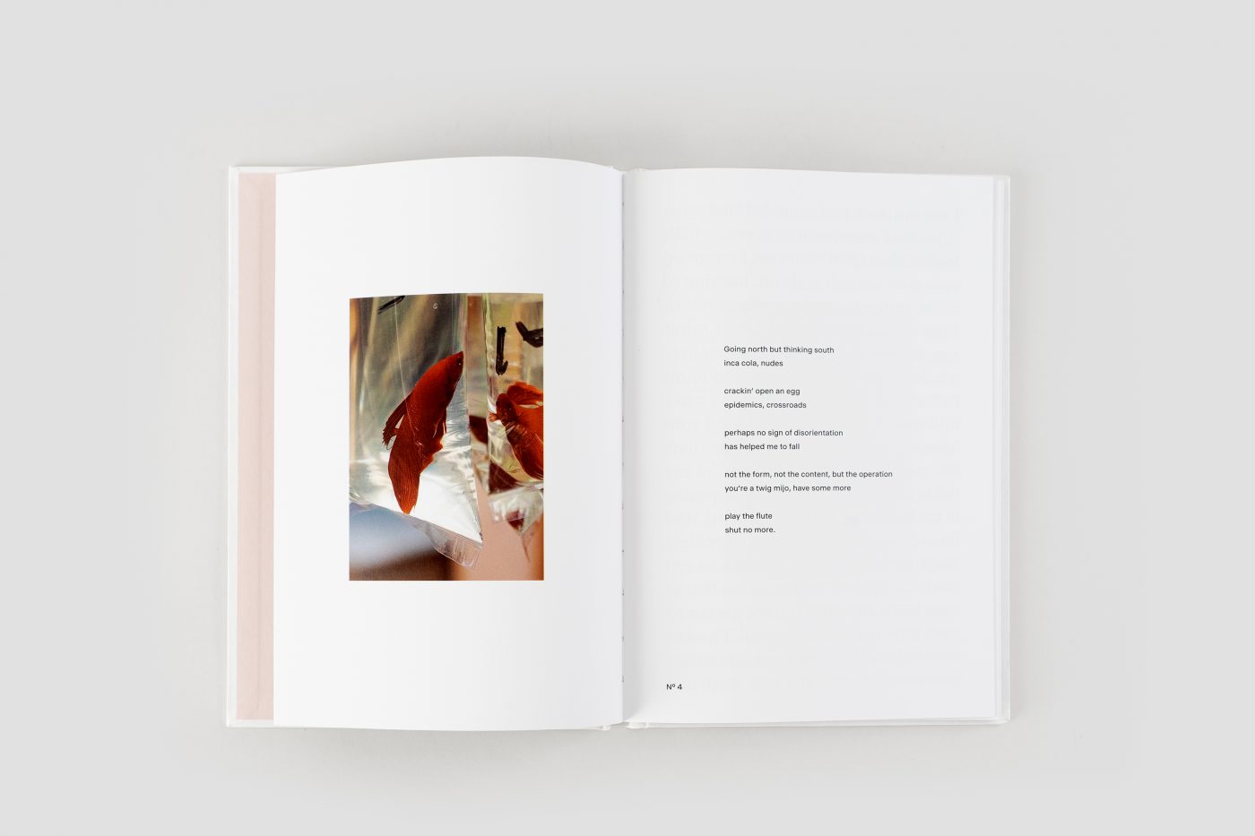 Vanessa Safavi: Alien Armpit — Mousse Magazine and Publishing