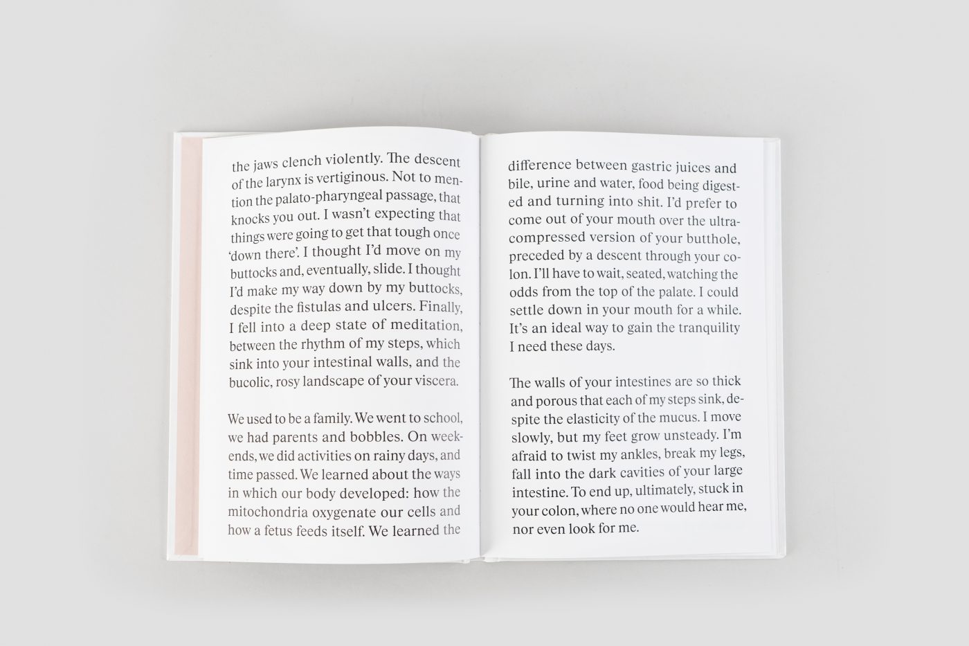 Vanessa Safavi: Alien Armpit — Mousse Magazine and Publishing