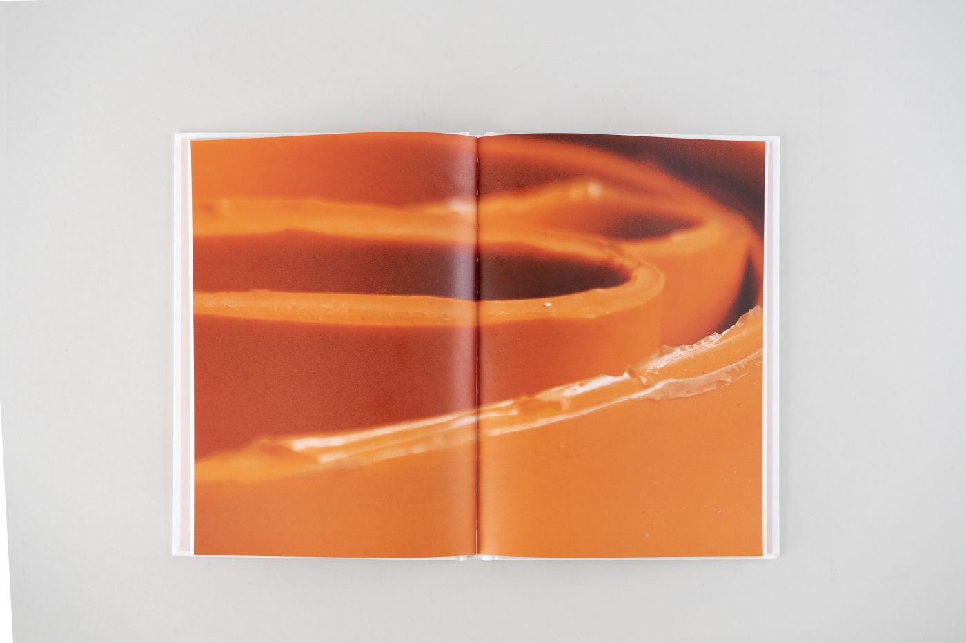 Vanessa Safavi: Alien Armpit — Mousse Magazine and Publishing