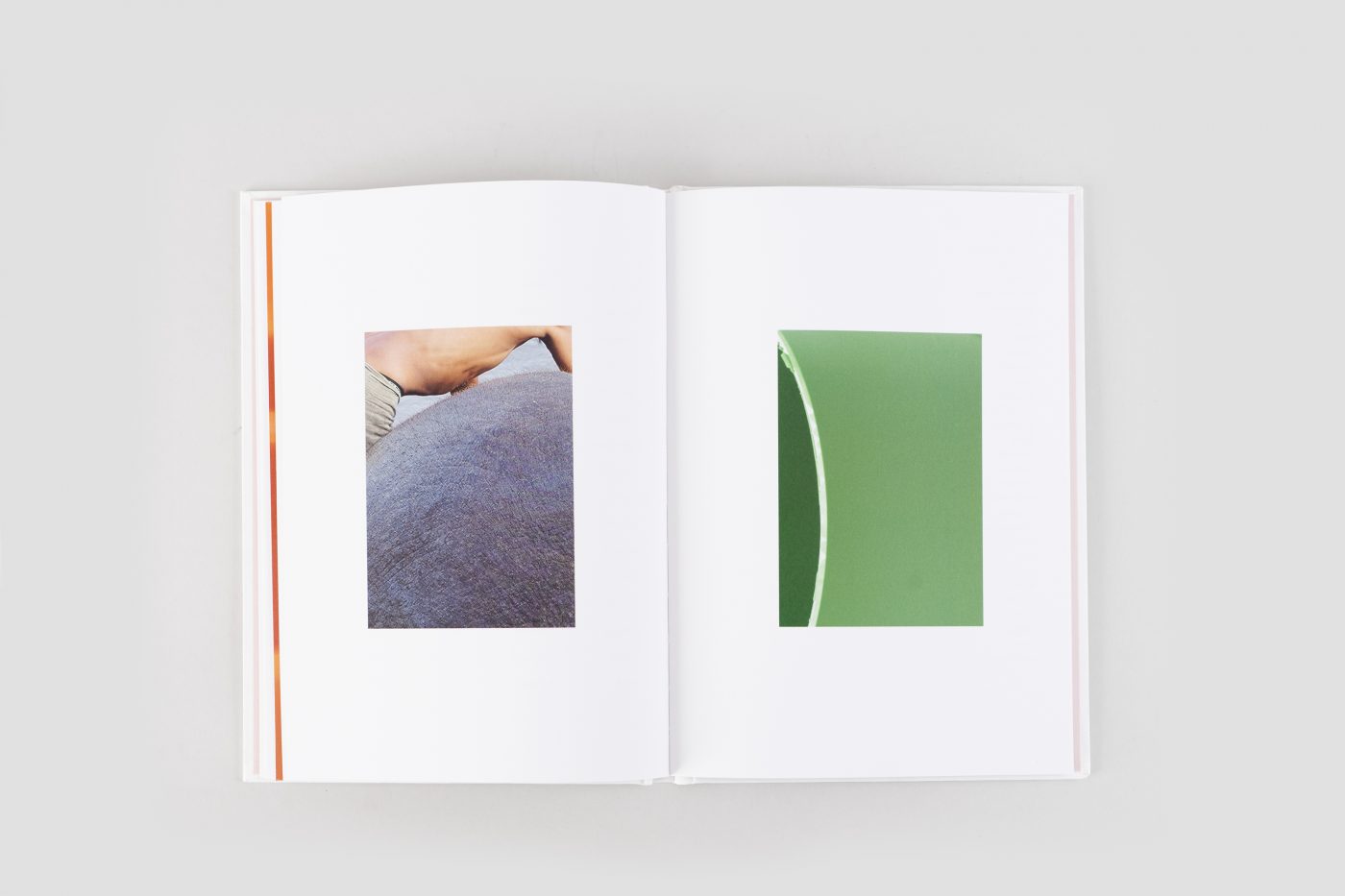 Vanessa Safavi: Alien Armpit — Mousse Magazine and Publishing