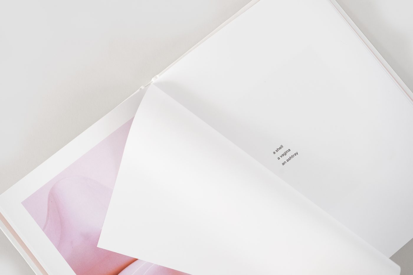 Vanessa Safavi: Alien Armpit — Mousse Magazine and Publishing