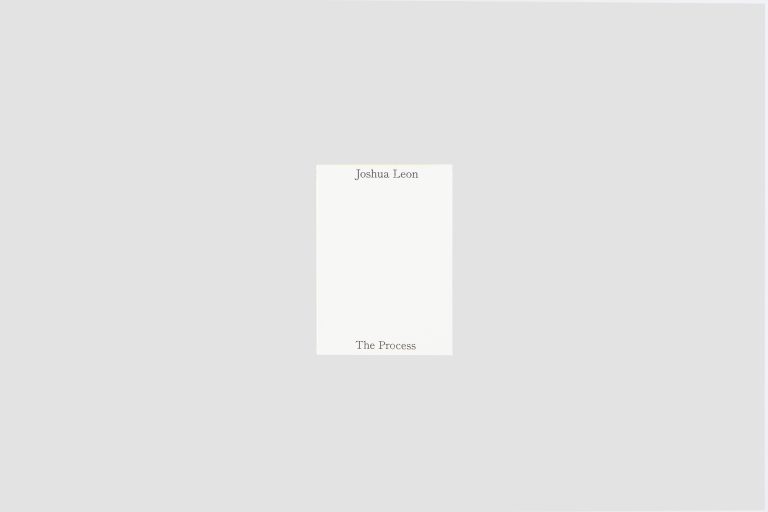 Joshua Leon: The Process — Mousse Magazine and Publishing