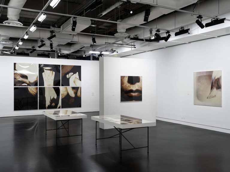 “Hannah Villiger” at Centre Pompidou, Paris - Artshow24