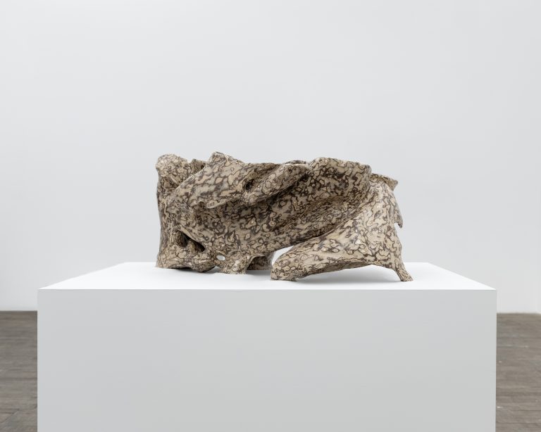 Jes Fan “Websites of Wounding: Interchapter” at Andrew Kreps, New York ...