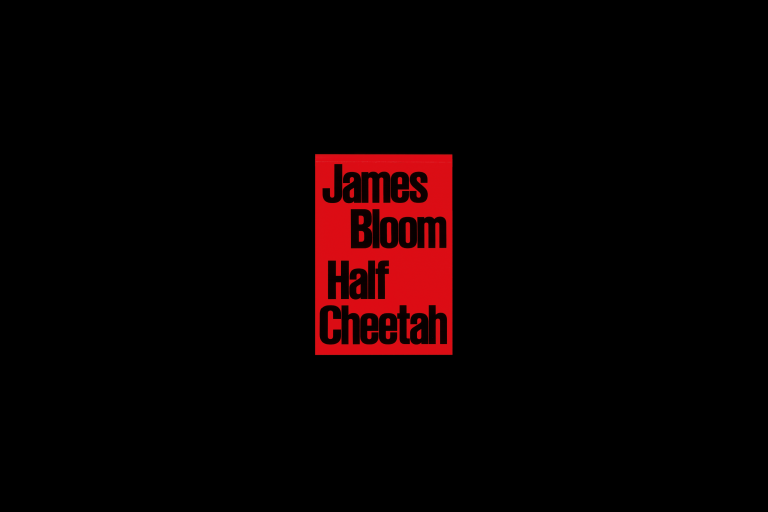 James Bloom: Half Cheetah — Mousse Magazine and Publishing