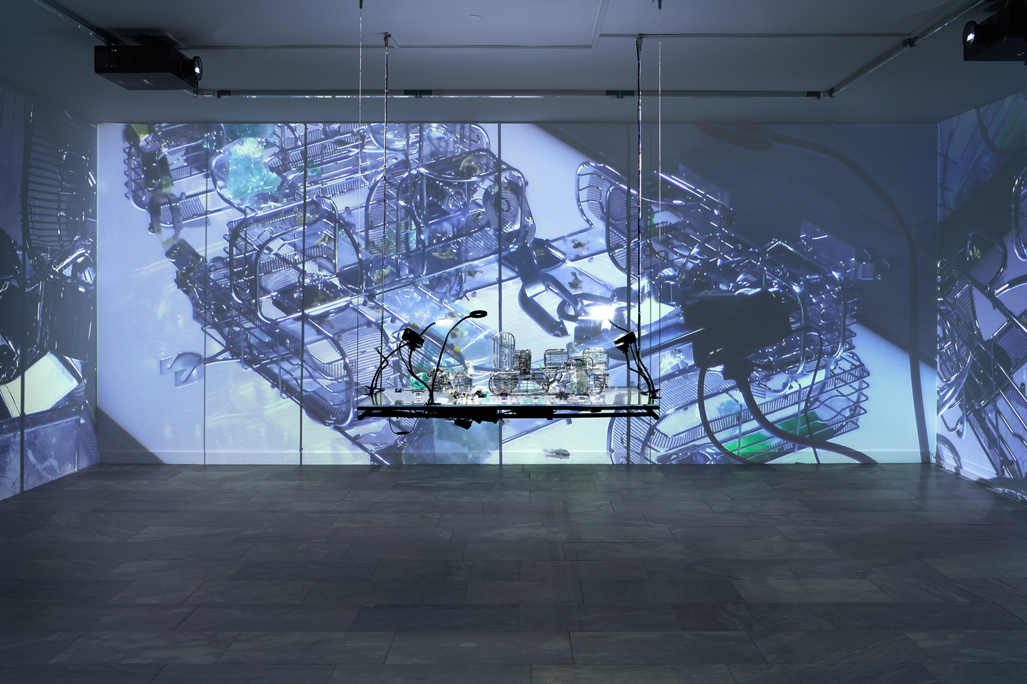 A method of a transformation – Wang Shui – – Light side – Chapitre ...